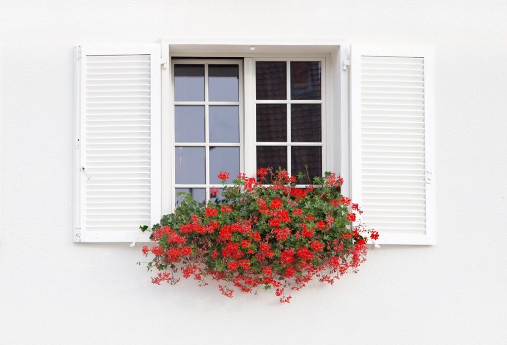 The Role of Windows in Interior Design: Letting Light In - Blogrizm